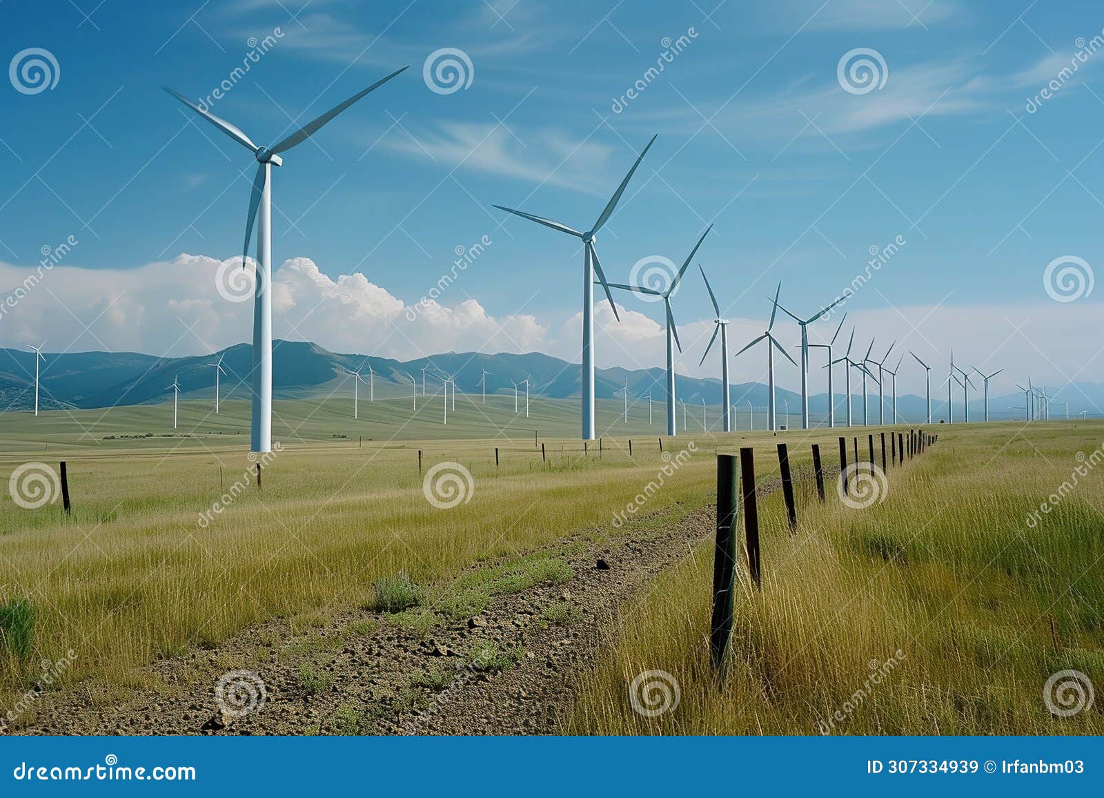 Eco-Evolution: Witnessing Sustainability Unfold In The Graceful Series ...