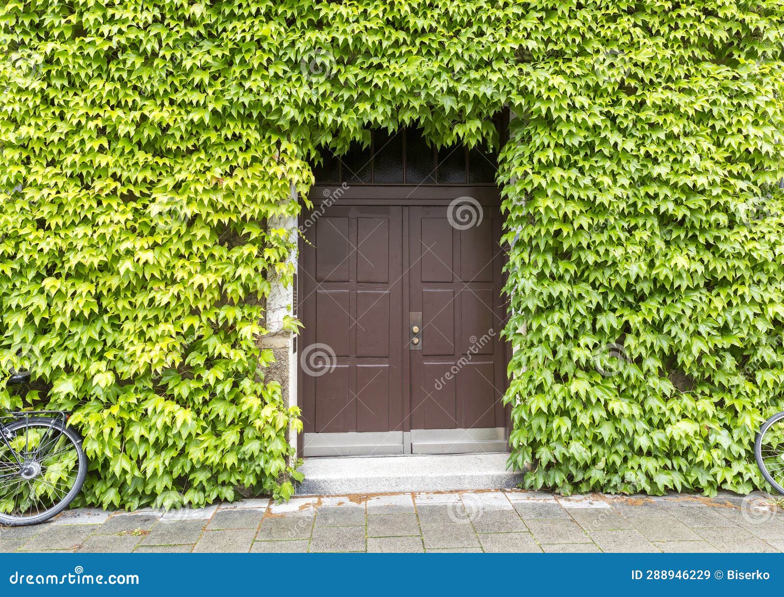 Eco Facade with Natural Isolation Stock Image - Image of wall, door ...