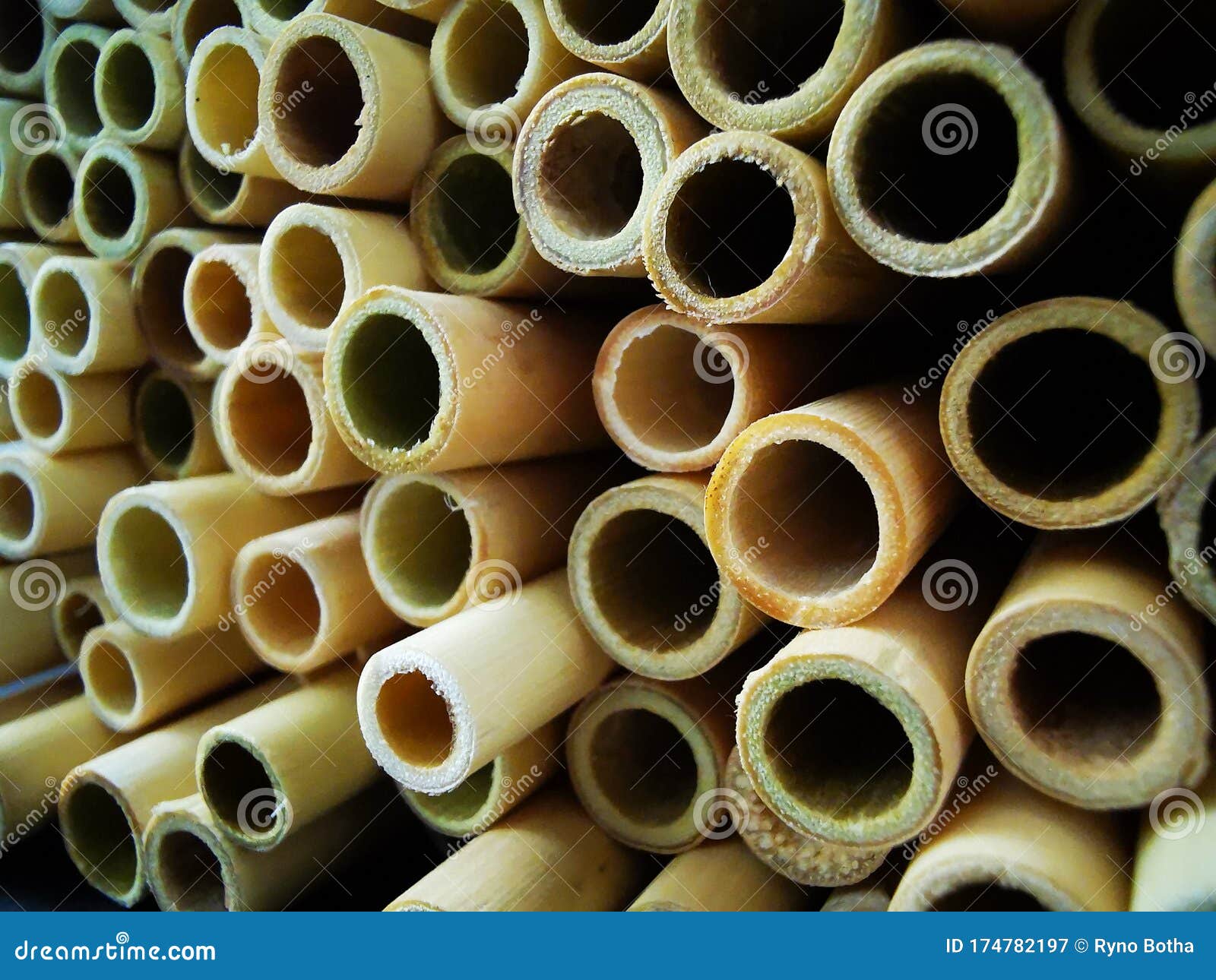 Bamboo drinking straw stock image. Image of natural - 174782197