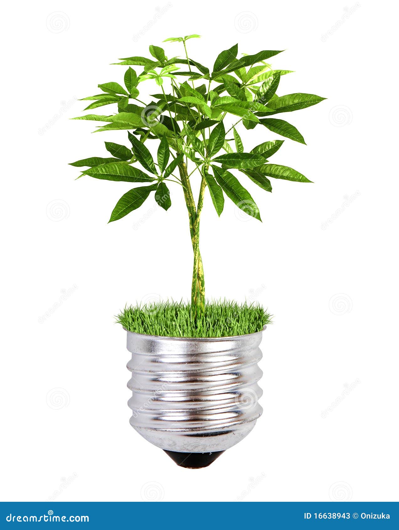 Eco friendly bulb stock image. Image of bulb, innovation - 16638943
