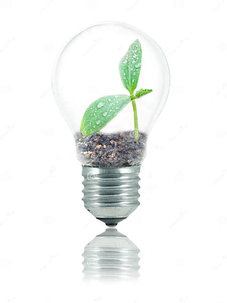 Eco friendly bulb stock photo. Image of conservation, invention - 8573902