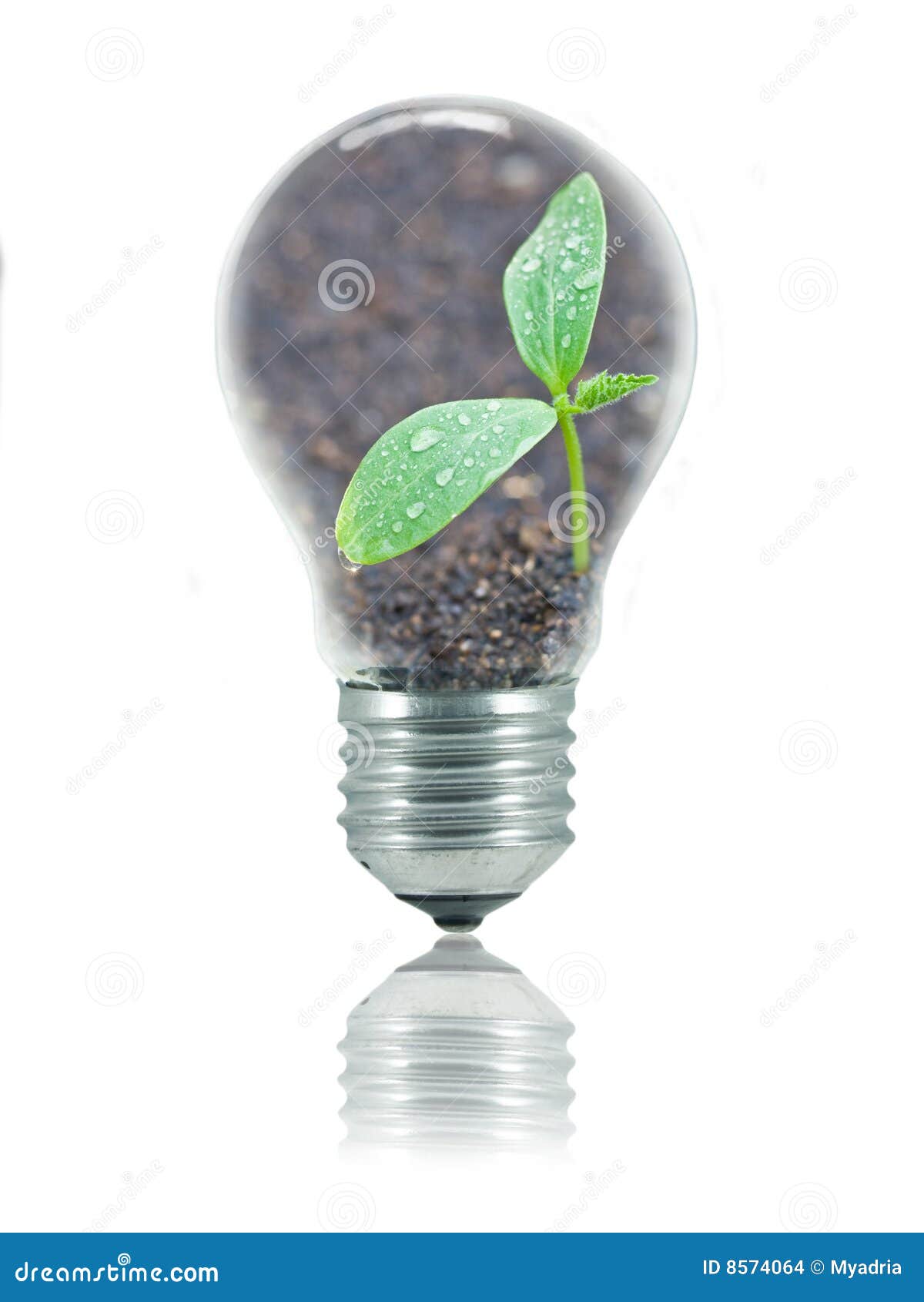Eco friendly bulb stock photo. Image of lighting, electricity - 8574064