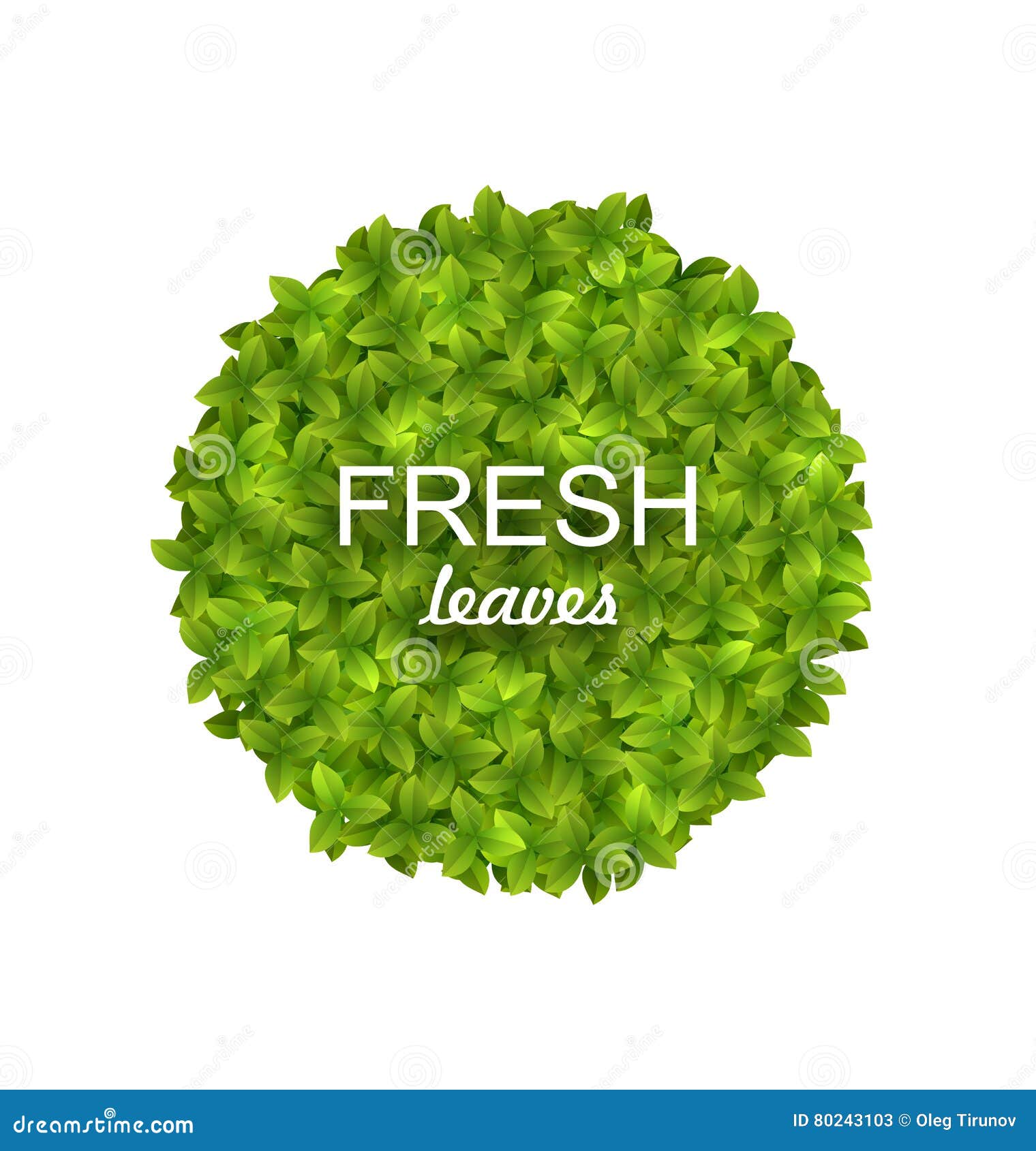 Eco Friendly Circle Frame Made in Green Leaves Stock Vector ...