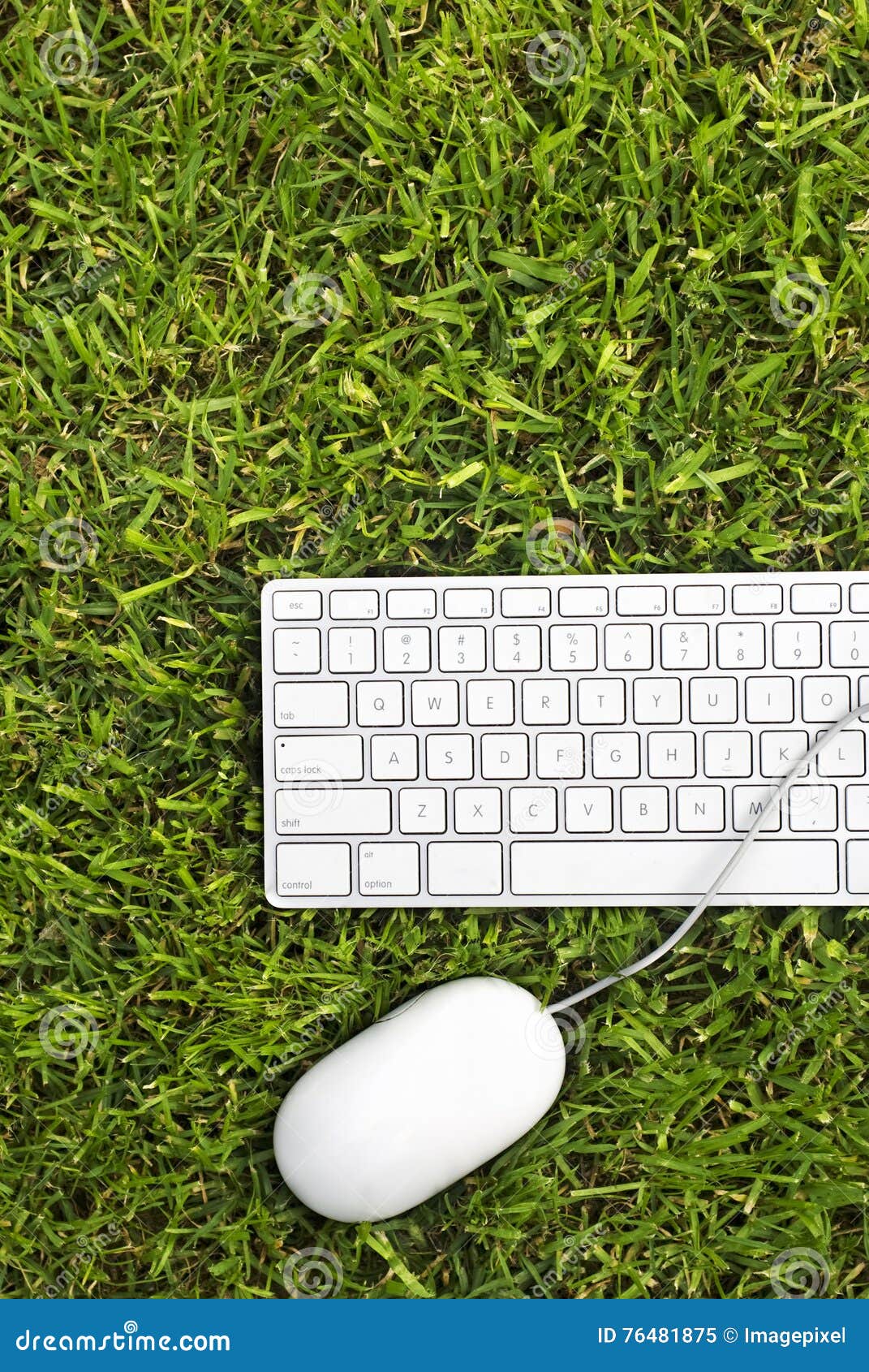 Eco Friendly Computer stock image. Image of mouse, sunny - 76481875