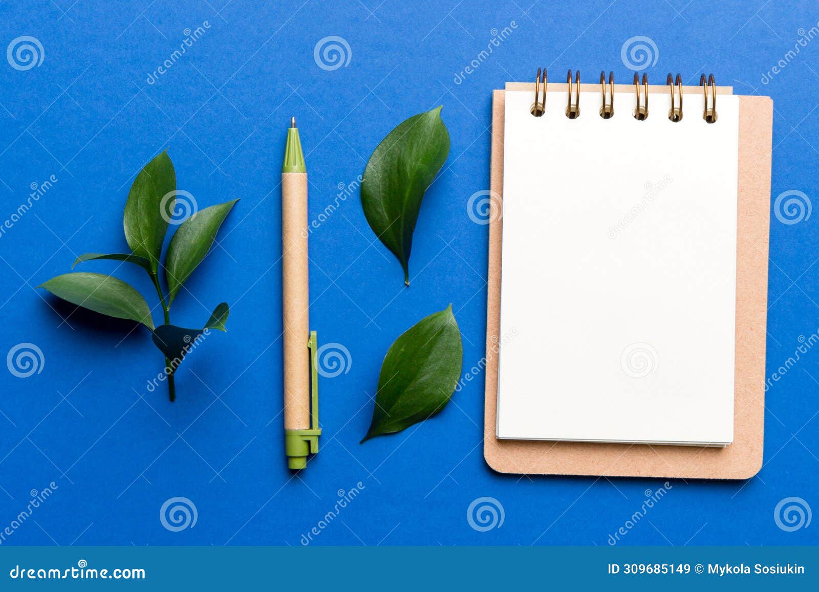 Eco-friendly Empty Notebook with Pen and Green Leaf on Colored ...