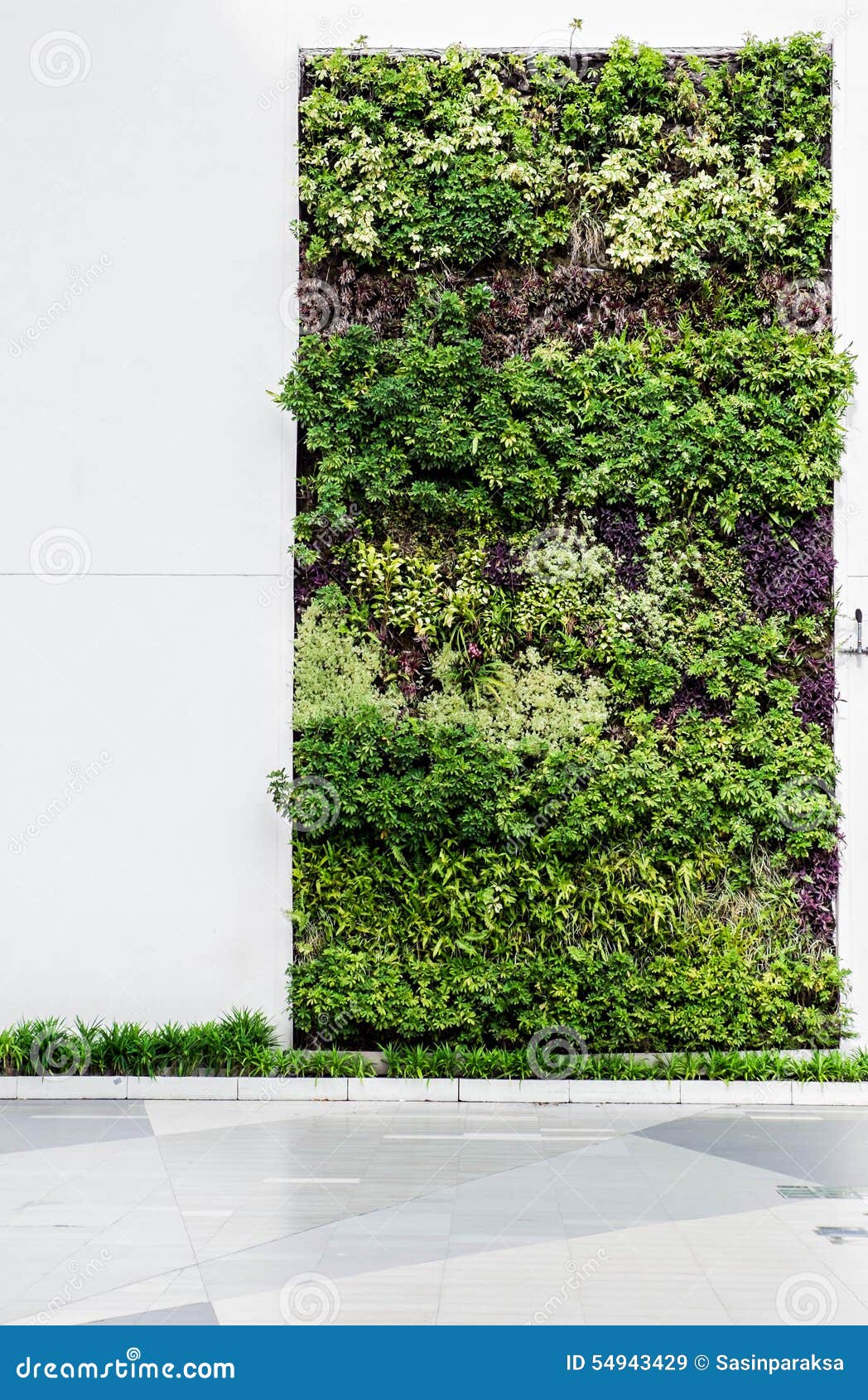 Eco friendly green wall stock image. Image of freshness - 54943429