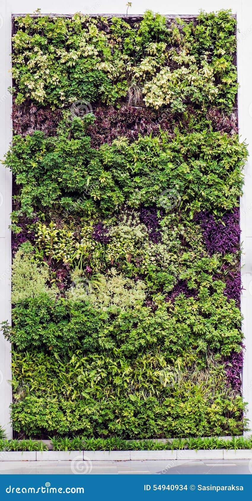 Eco friendly green wall stock photo. Image of green, exterior - 54940934