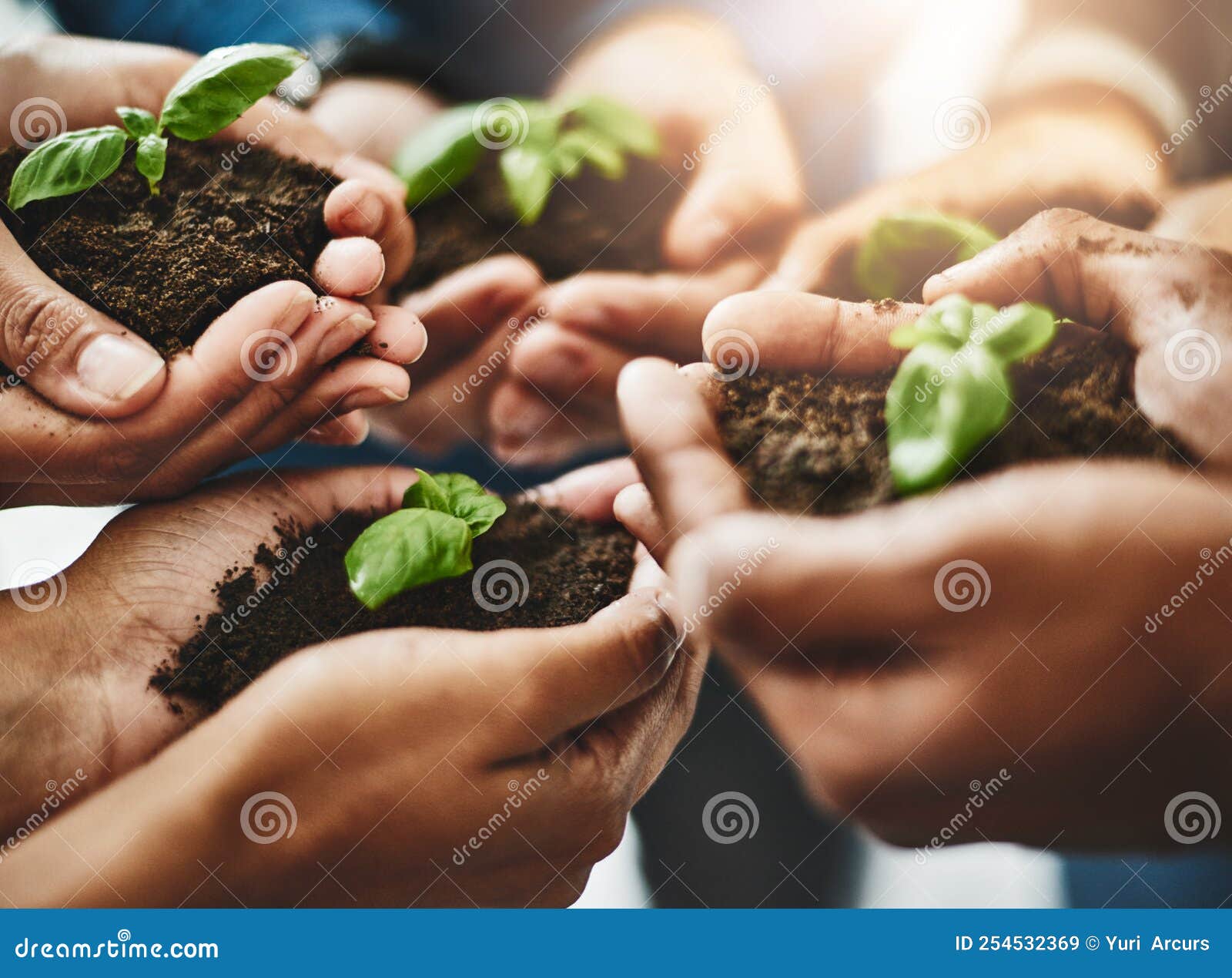 Eco Friendly Hands and Plants with Growth, Teamwork, Togetherness and ...