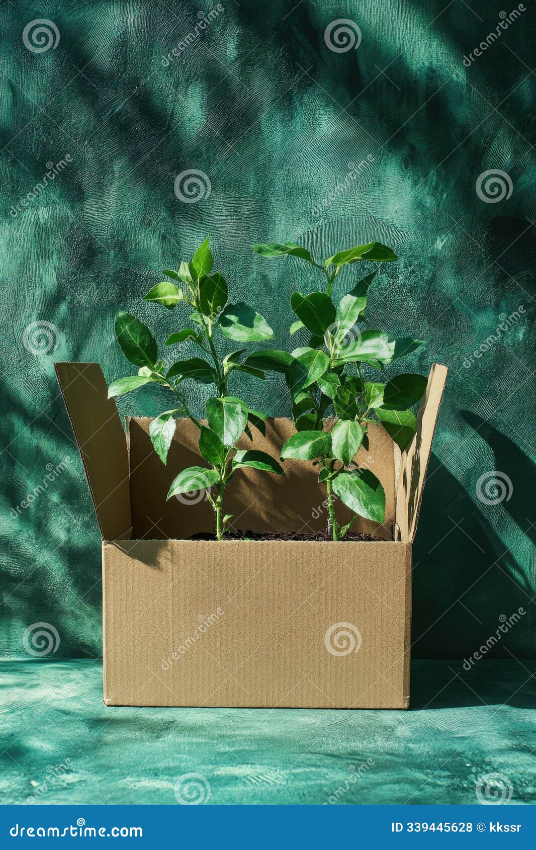 Eco-Friendly Packaging, a Cardboard Box Features Plants Sprouting from ...
