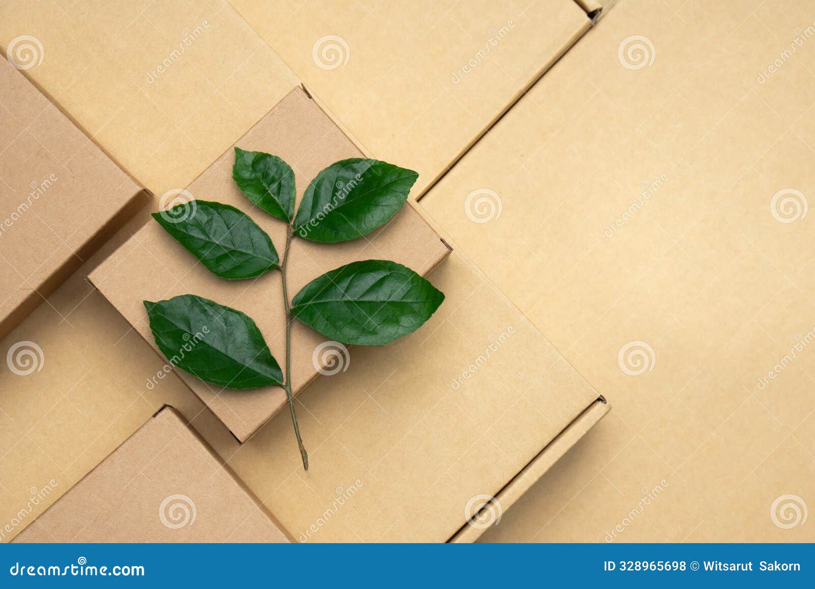 Eco Friendly Packaging for a Sustainable Future. Green Leaf on ...