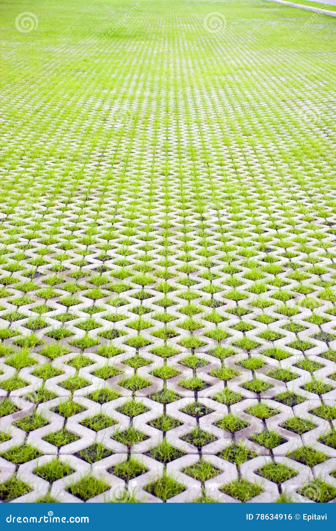 Eco-friendly Car Parking Of Concrete Cells And Turf Grass. Car On A ...
