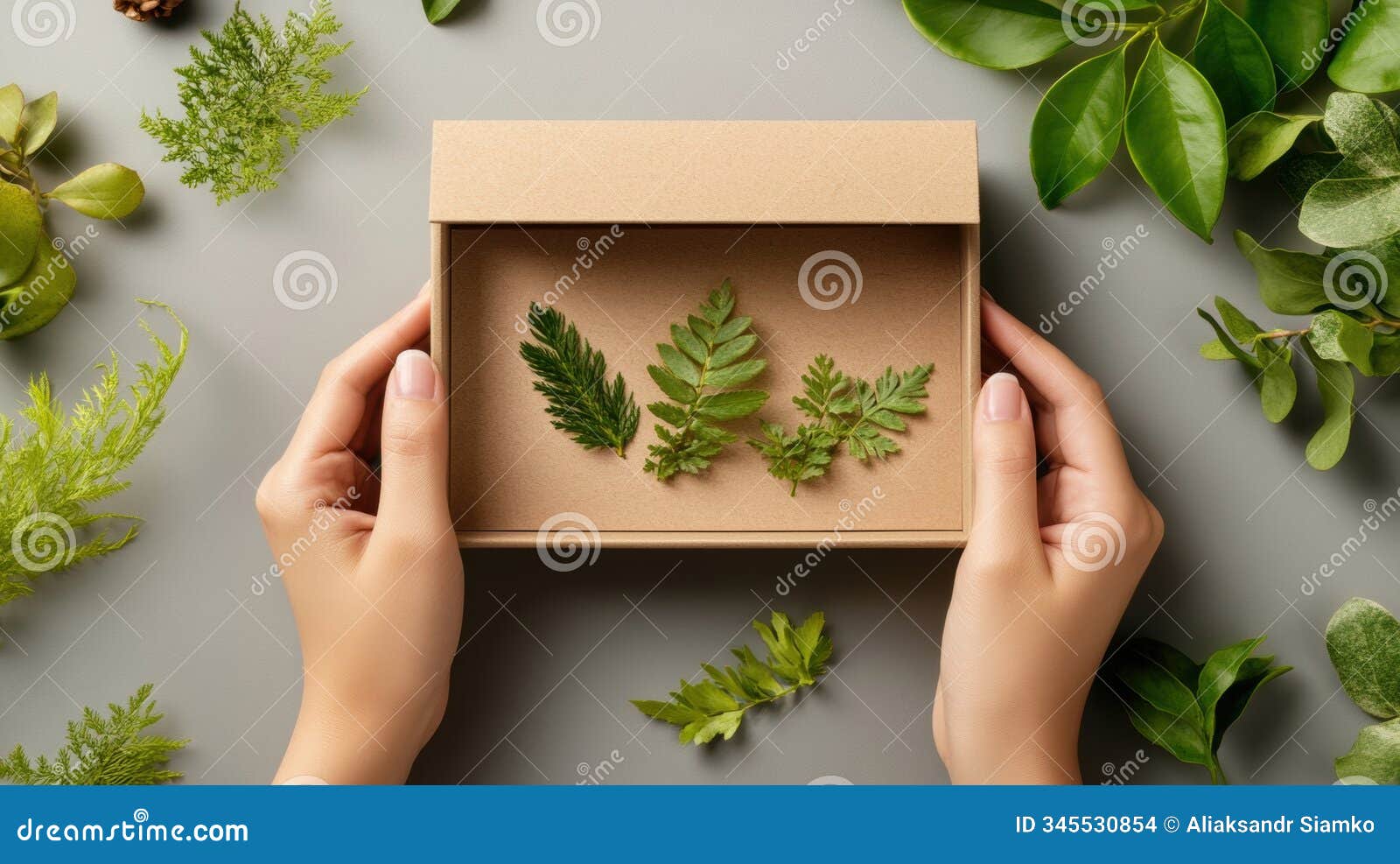 Eco-friendly Product Packaging with Low Environmental Impact Stock ...
