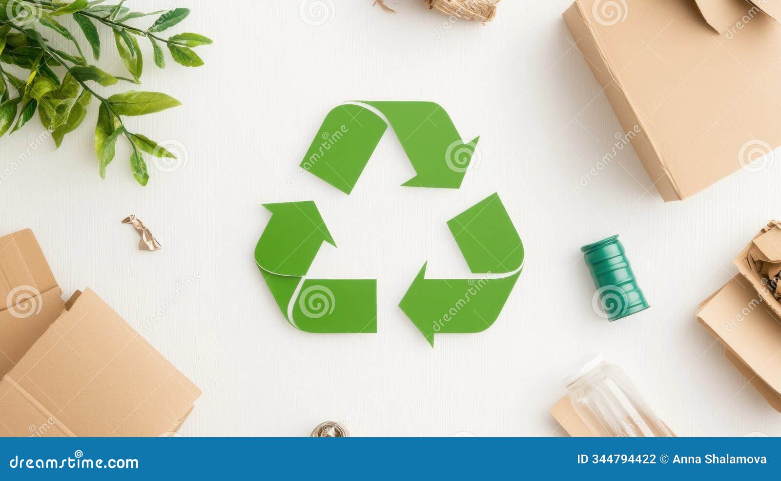 Eco-friendly Recycling: Sustainable Practices with Cardboard and Plants ...