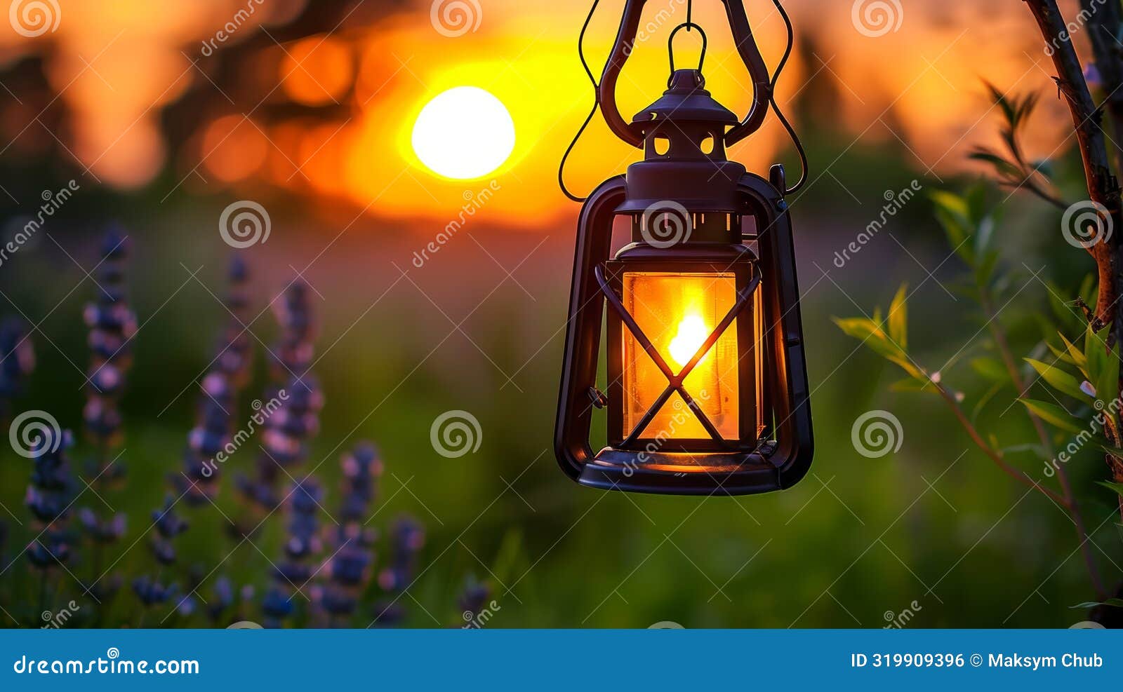 Eco Friendly Solar Outdoor Lamp With Automatic Illumination, Powered By ...