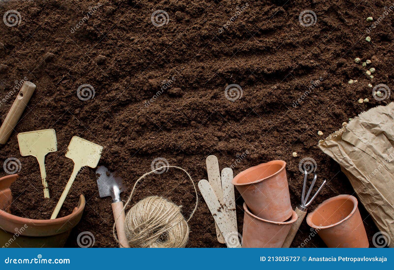 Eco-friendly Tools for Planting Seeds in the Spring - Instruments ...