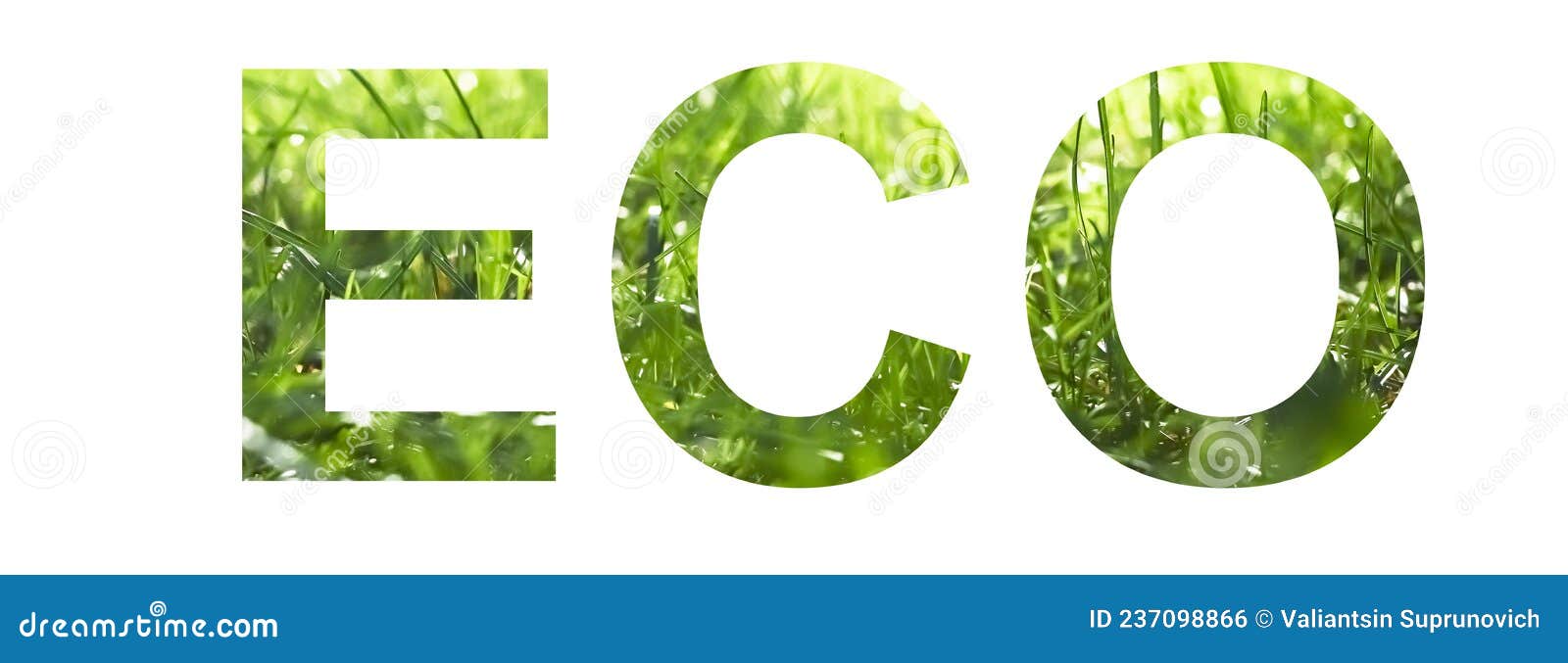 ECO Friendly Word Isolated on White Background. Green Grass Text Design ...