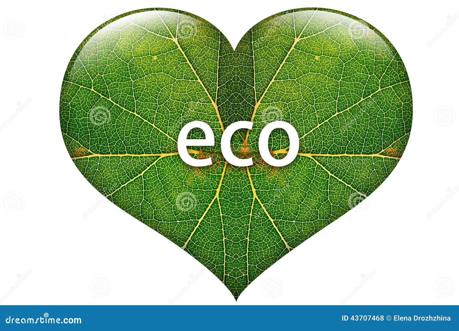 Eco heart stock photo. Image of shape, tree, leaves, organic - 43707468