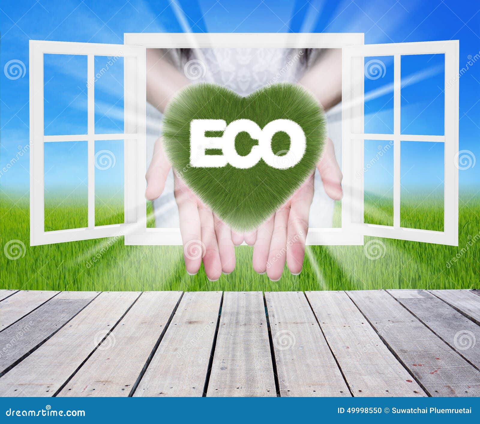 Eco Heart in the Hands with Window Stock Photo - Image of nature, green ...