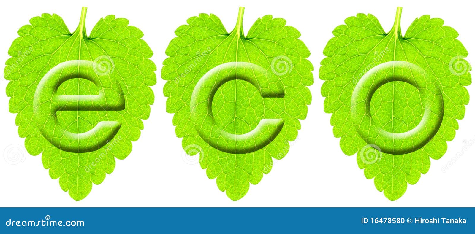 Eco image stock illustration. Illustration of ecology - 16478580