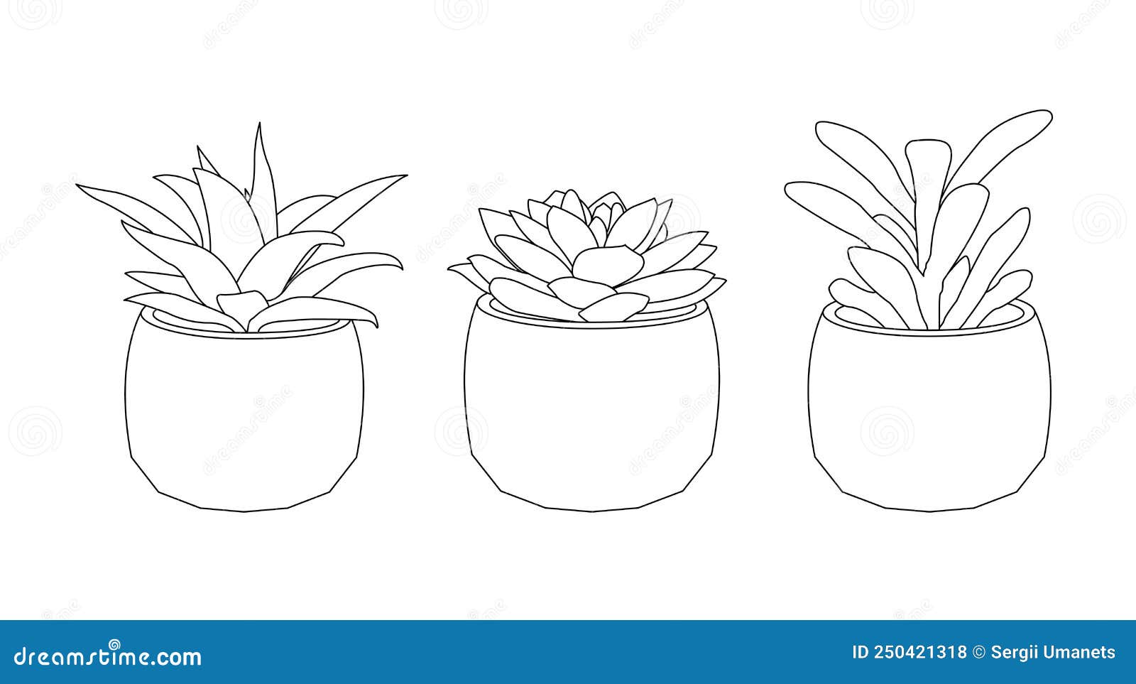 Eco Interior with Succulents in Simple Linear Style. Editable Stroke ...