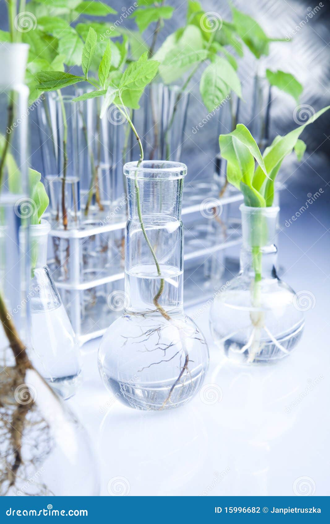 Eco laboratory stock photo. Image of blue, leaf, nature - 15996682