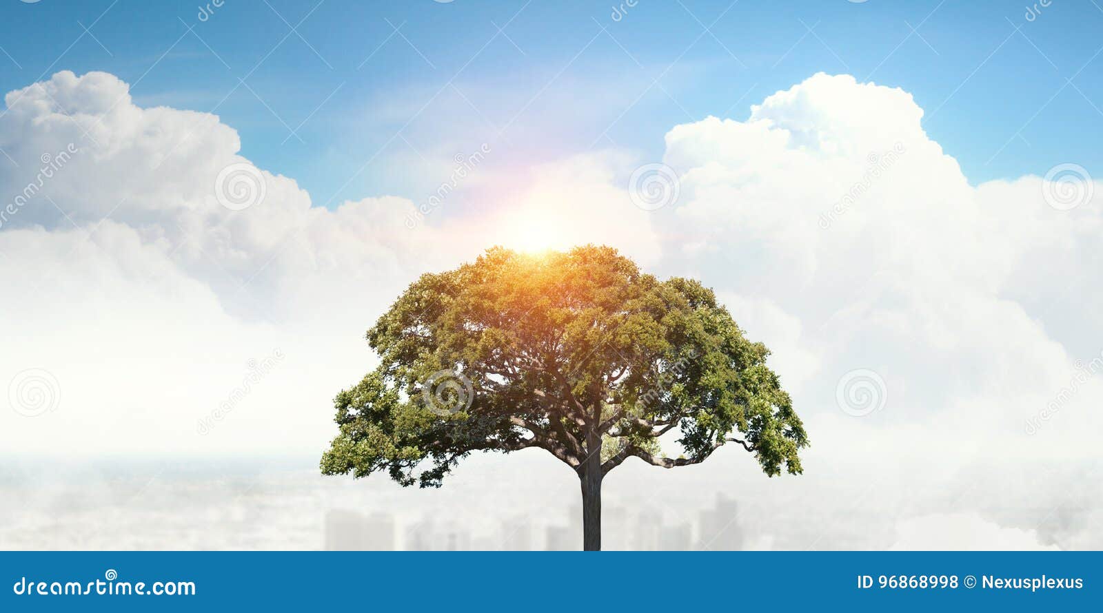 Eco Life Concept . Mixed Media Stock Photo - Image of ecology, summer ...