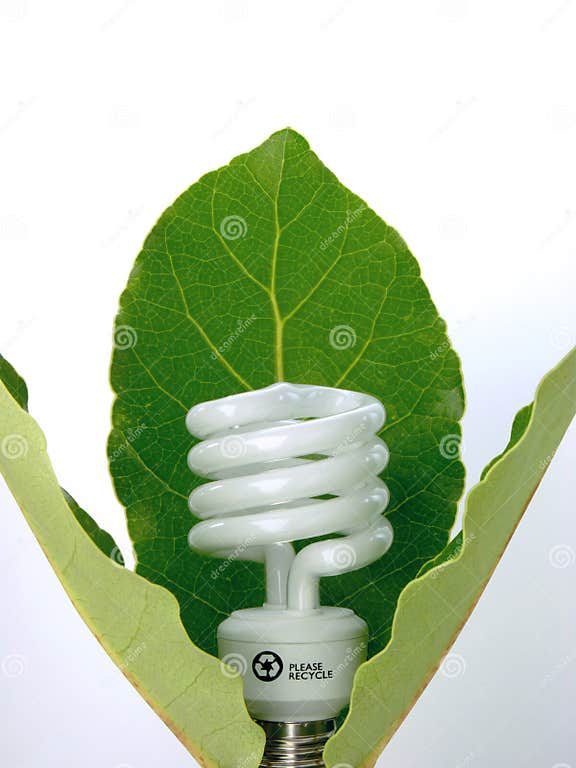 Eco Light Bulb stock image. Image of future, fluorescent - 14663573