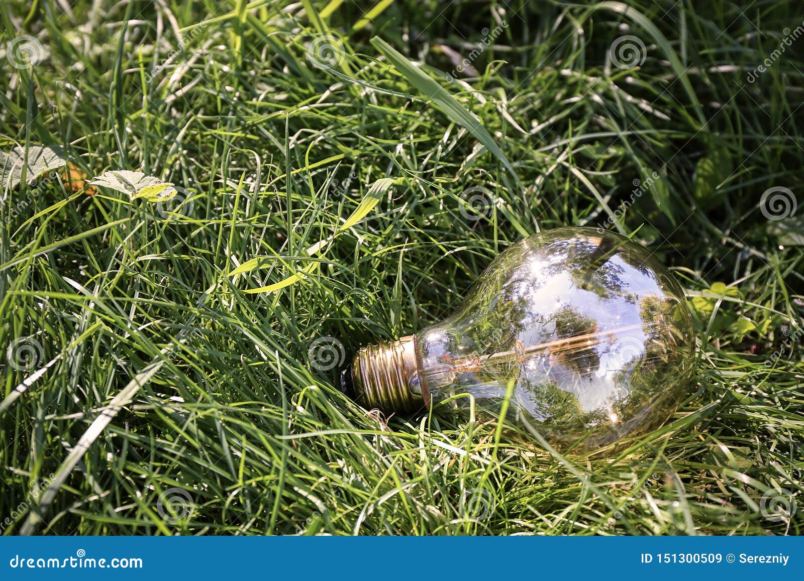 Eco Light Bulb on Green Grass Stock Image - Image of concept, nature ...