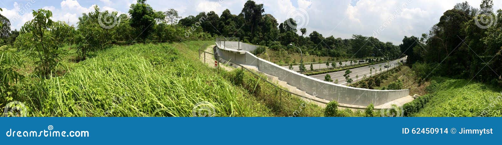 Eco-link Bridge - Singapore Stock Photo - Image of expressway, nparks ...
