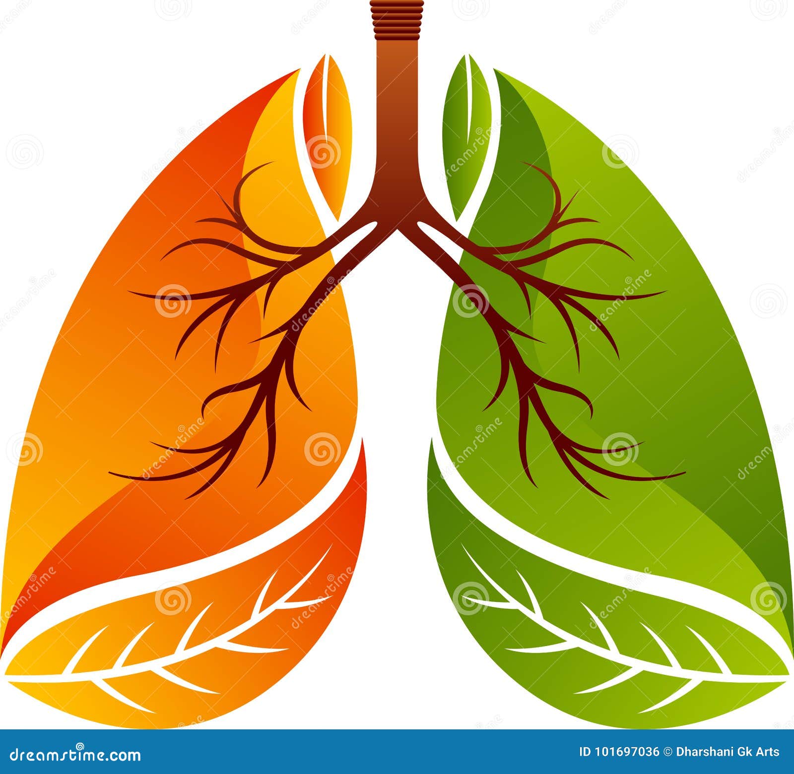 Lungs Logo Vector Illustration | CartoonDealer.com #25104344
