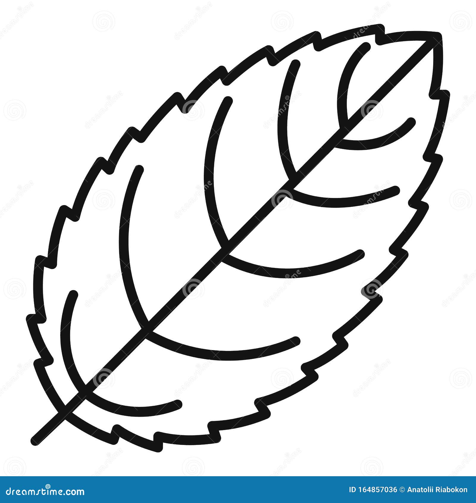 Mint Icon. Culinary Herb. Cartoon Fresh Mint Leaves On White Background ...