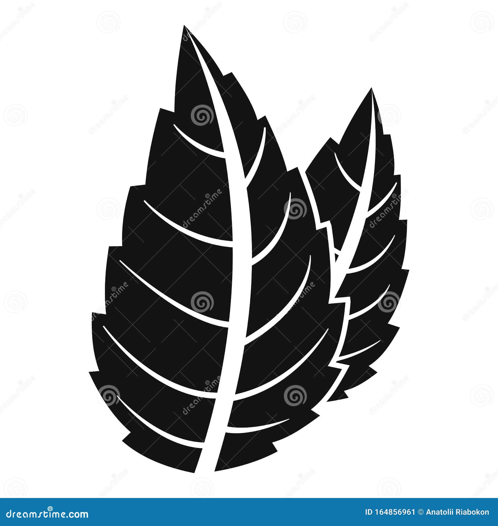 Mint Icon. Culinary Herb. Cartoon Fresh Mint Leaves On White Background ...