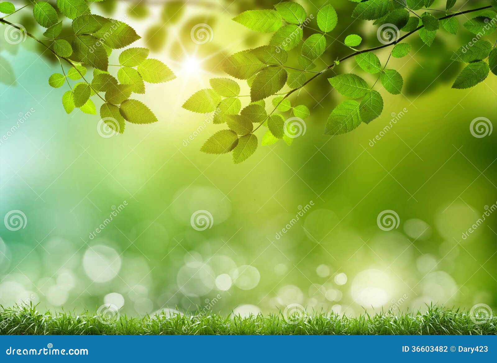 Eco nature stock photo. Image of cleanup, grass, environmental - 36603482