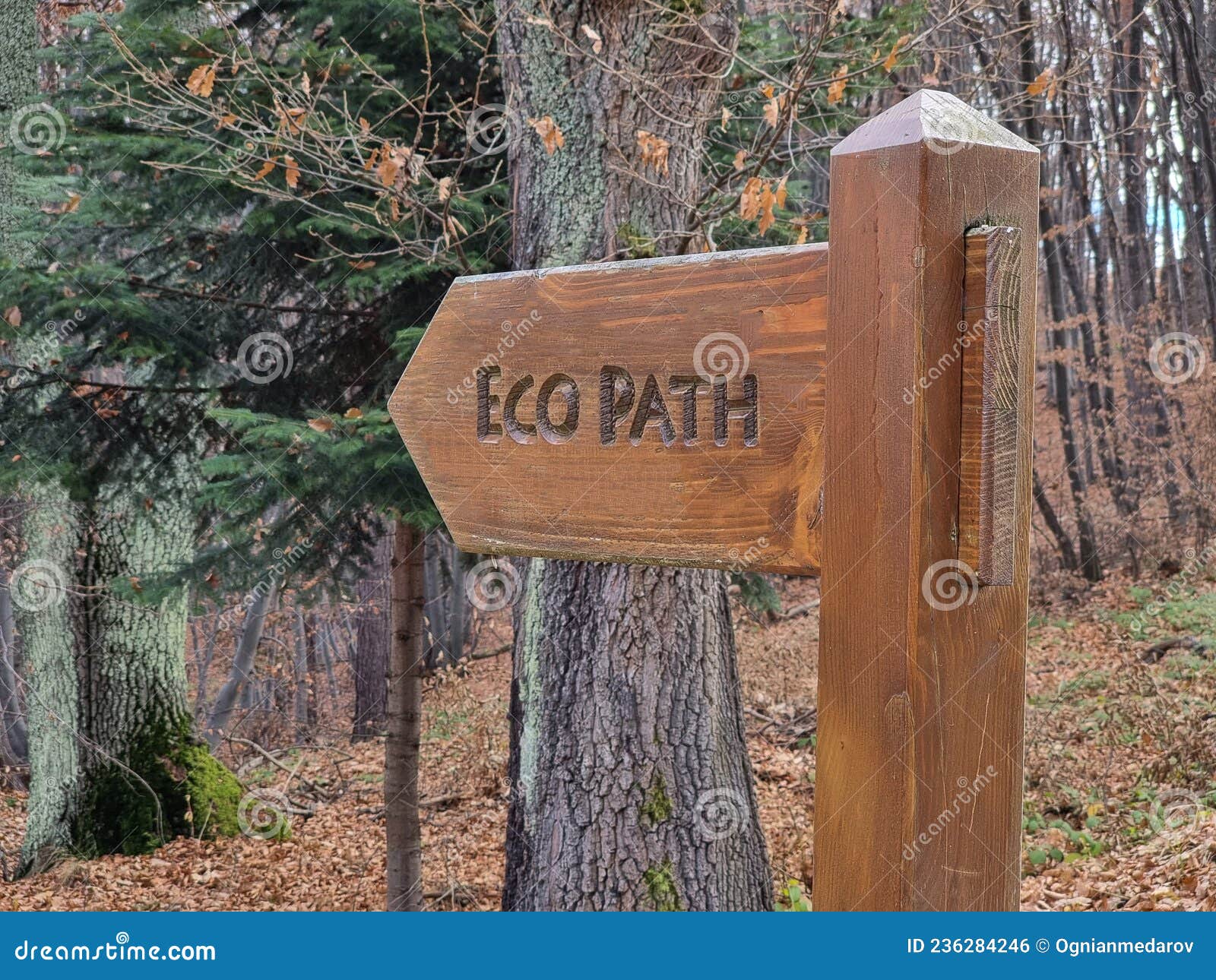 Eco Path Wooden Road Sign stock photo. Image of rustic - 236284246