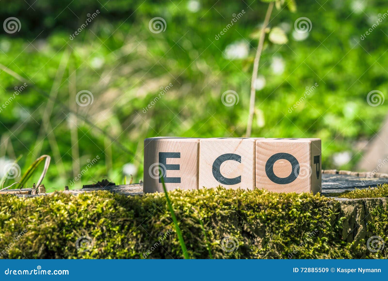 Eco sign in a green forest stock image. Image of background - 72885509