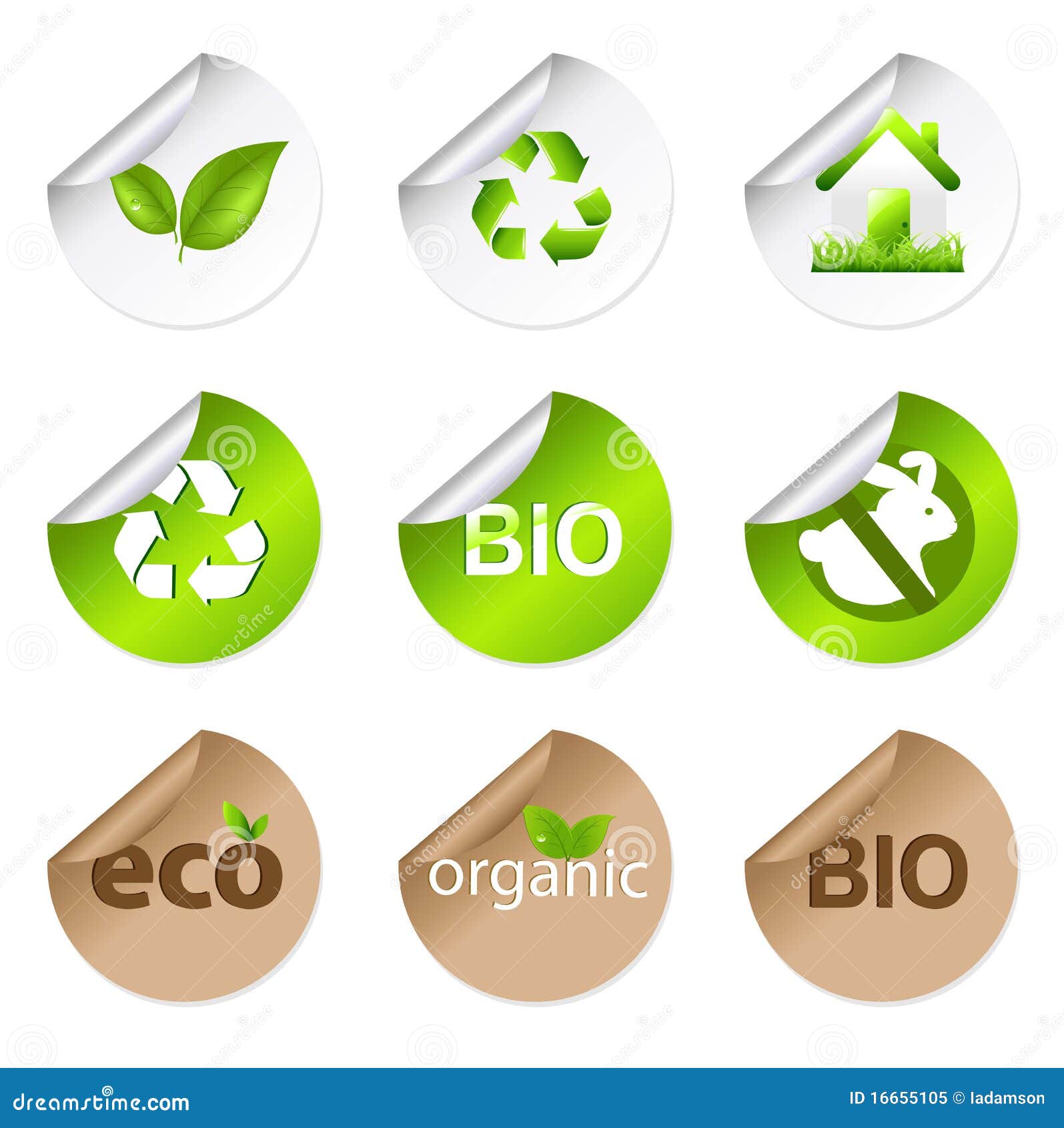 Eco Stickers. Vector stock vector. Illustration of herb - 16655105