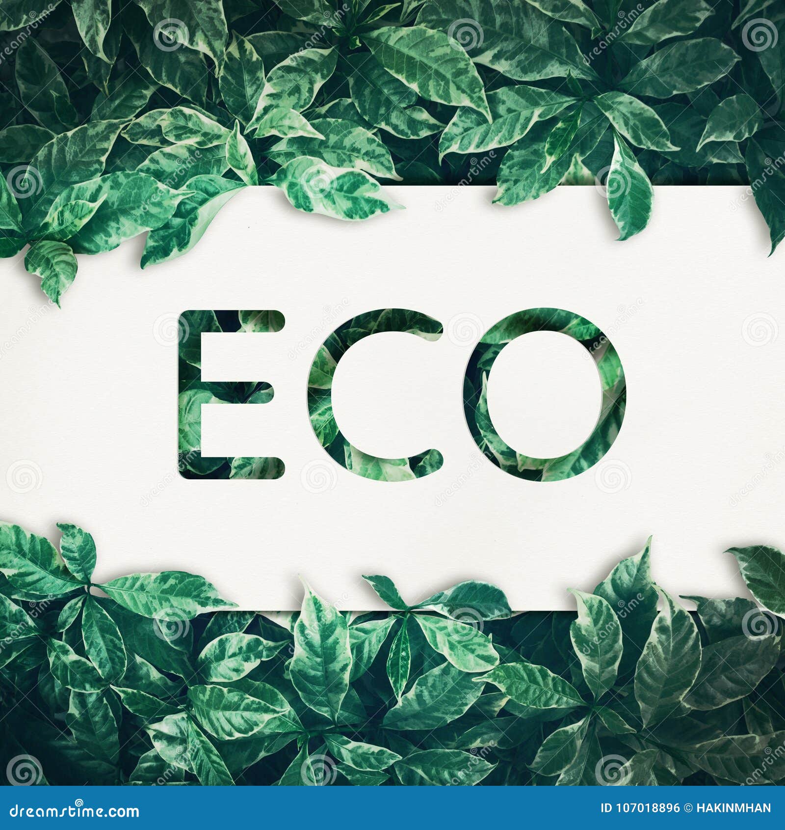 Eco Text with Green Leaf Background.friendly,eco Stock Photo - Image of ...