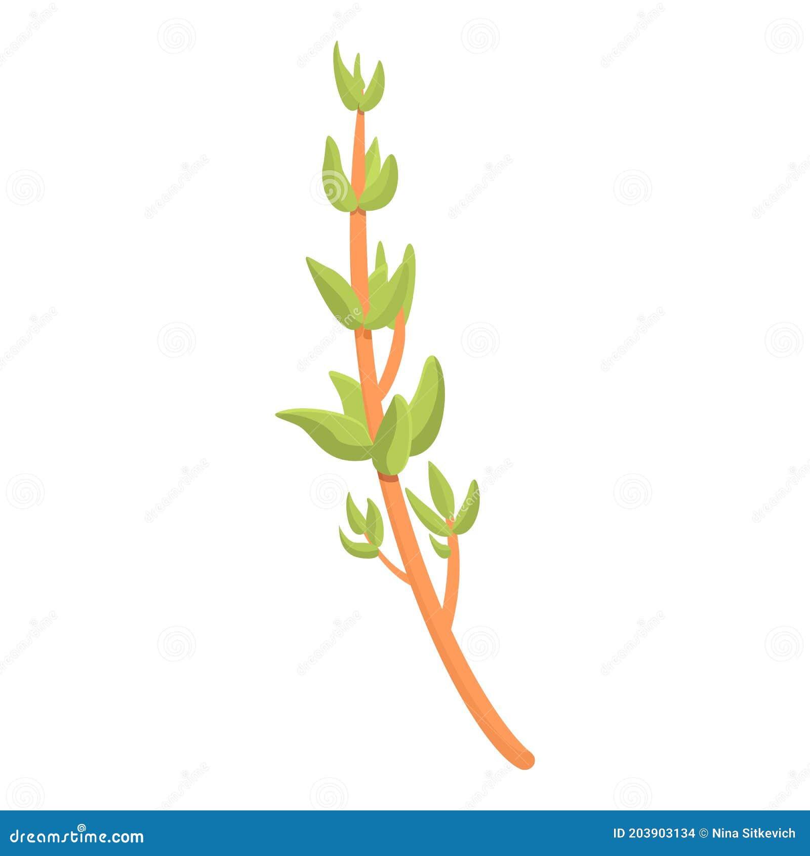 Eco Thyme Icon, Cartoon Style Stock Vector - Illustration of green ...
