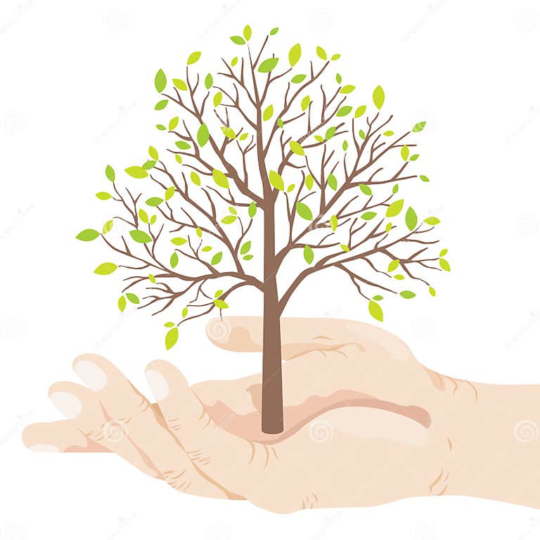 Eco Tree stock vector. Illustration of creative, protection - 13024939