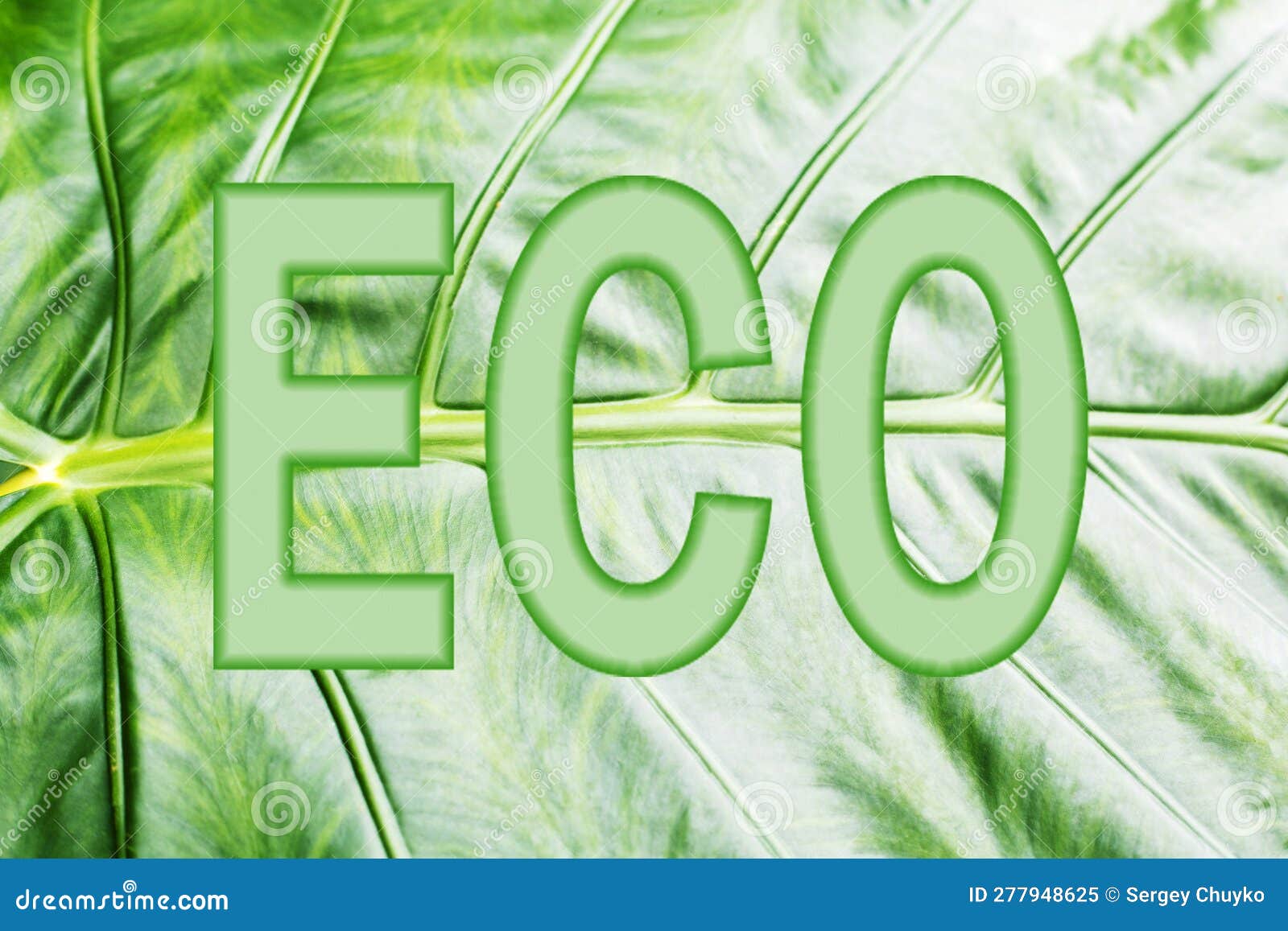 Eco Word on the Background of Green Leaf Texture. Stock Image - Image ...