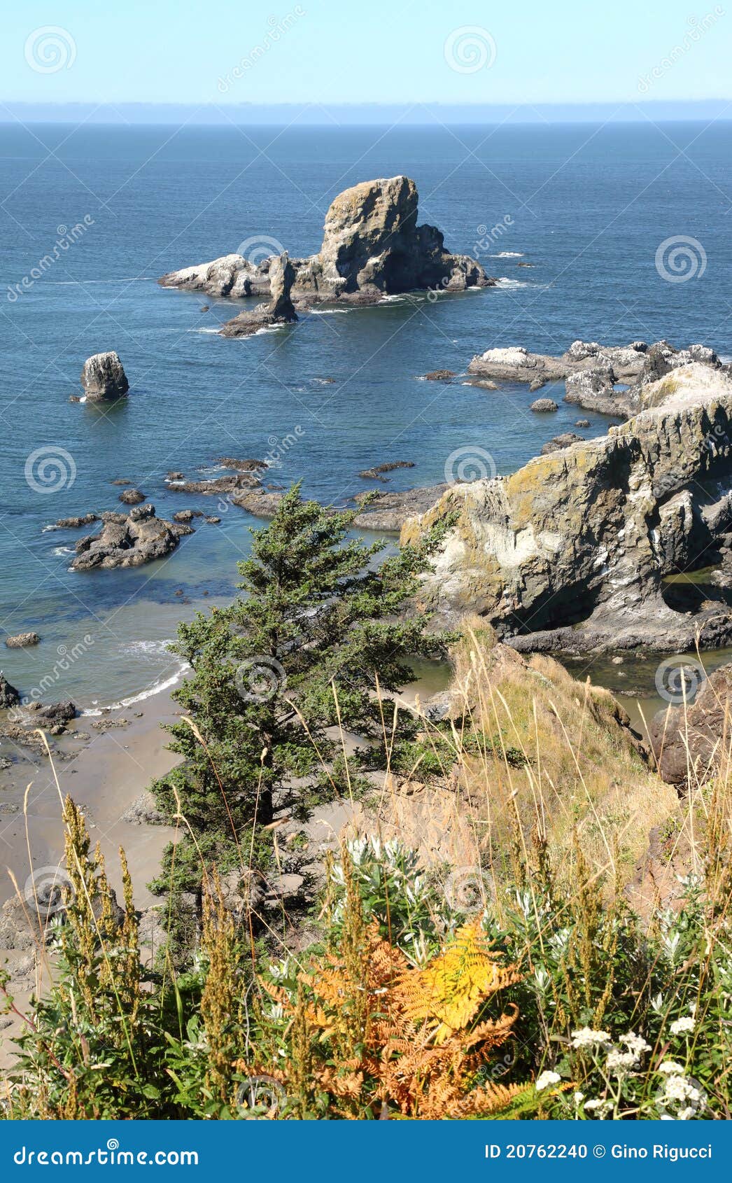 Ecola State Park, Oregon Coast & Pacific Ocean. Stock Photo - Image of ...