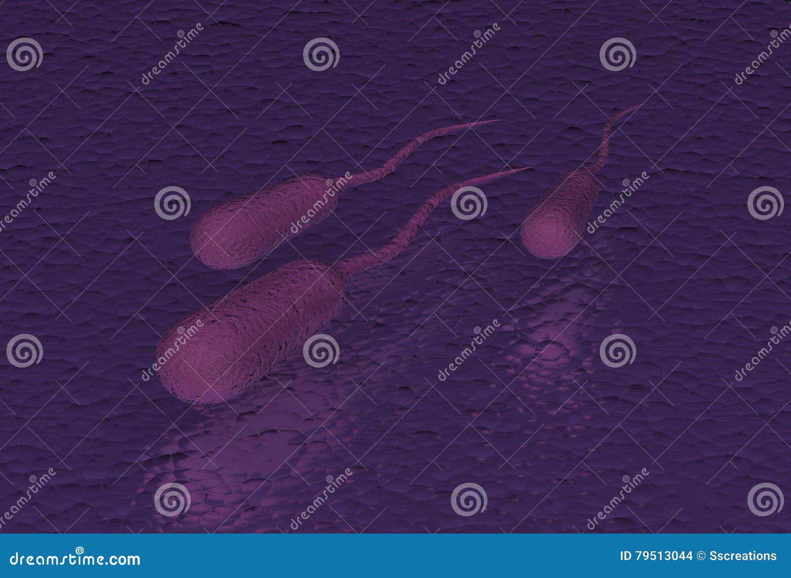 Ecoli bacteria stock illustration. Illustration of cell - 79513044