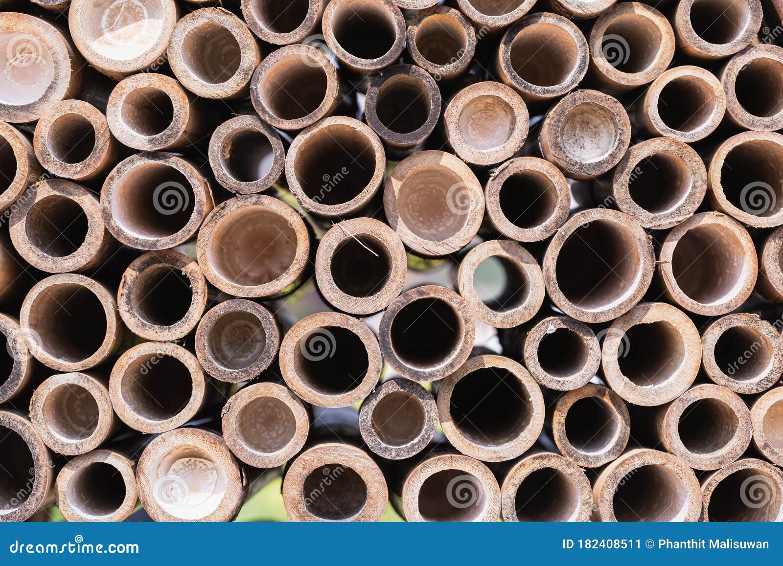 Ecological Bamboo Straw or Bamboo Tube for Design Stock Image - Image ...