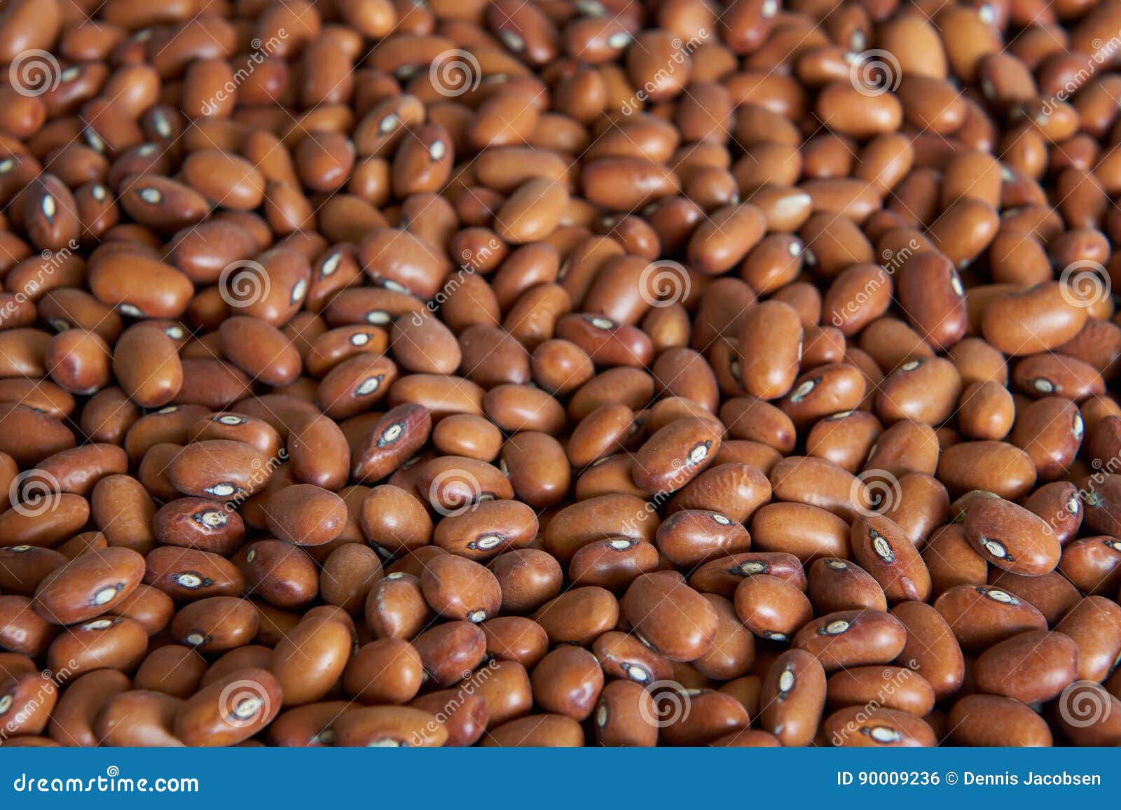Ecological brown beans stock photo. Image of beans, brown - 90009236