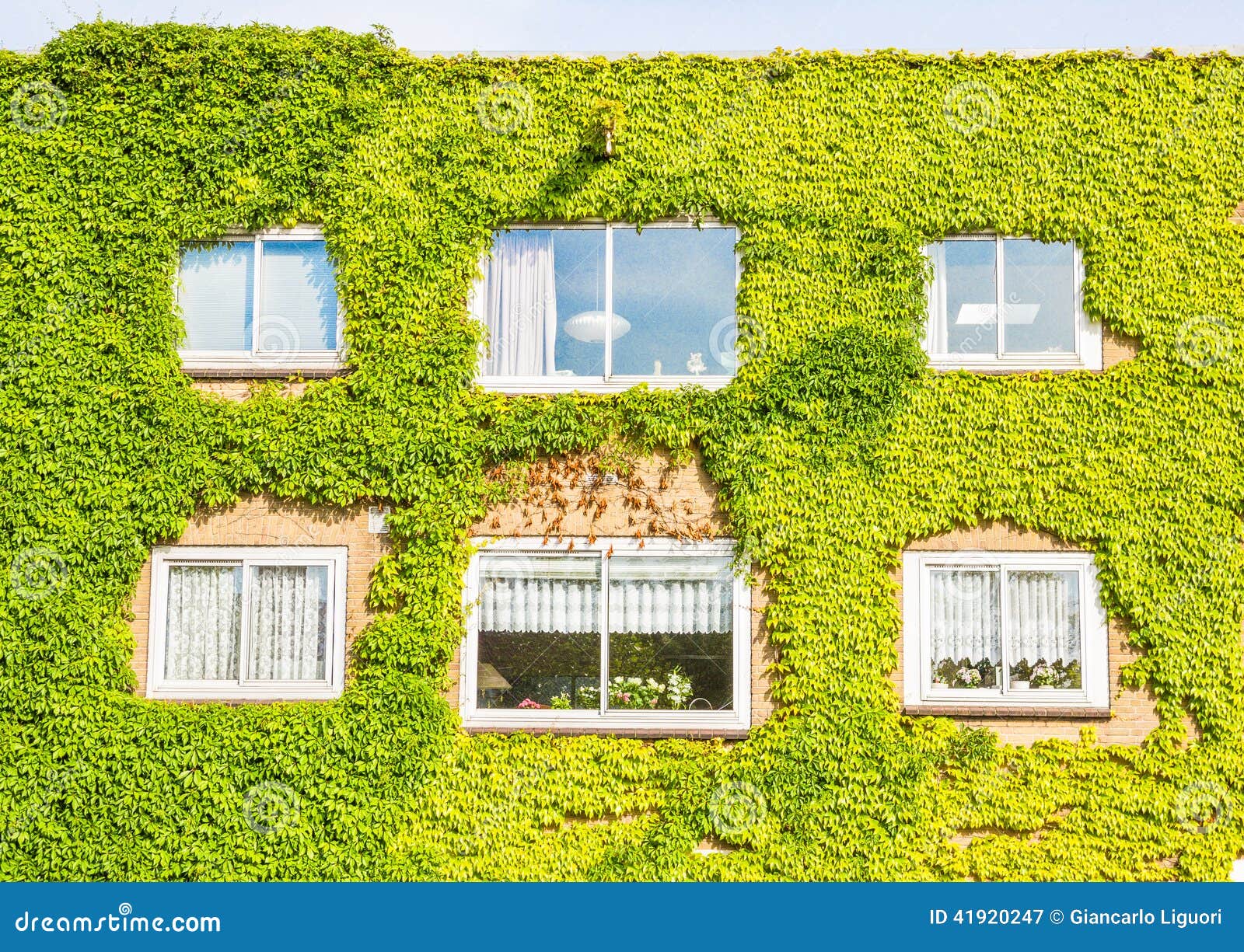 Ecological Building with the Wall Full of Plants Stock Image - Image of ...