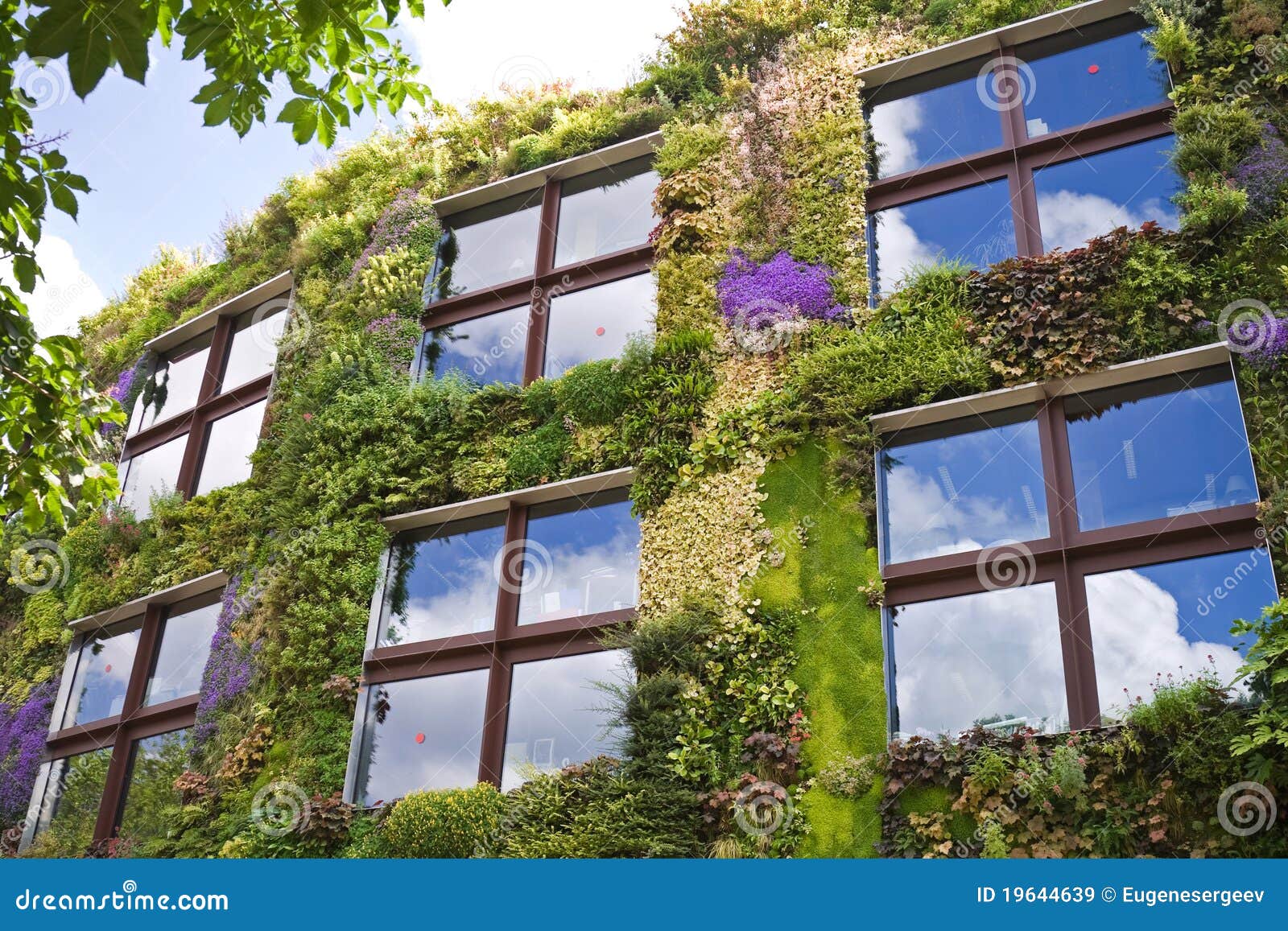Ecological Buildings Facade Stock Image - Image of idyllic, covered ...