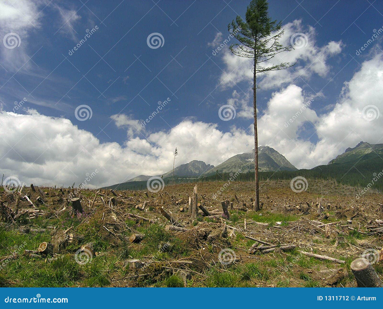 Ecological catastrophe stock photo. Image of slovakia - 1311712