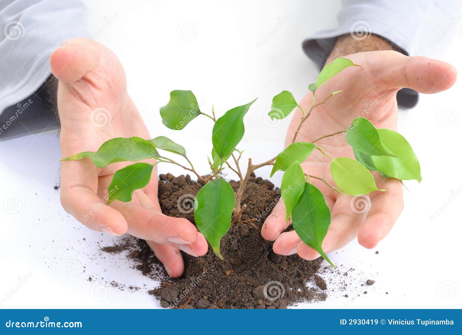 Ecological concept stock image. Image of white, open, nurture - 2930419