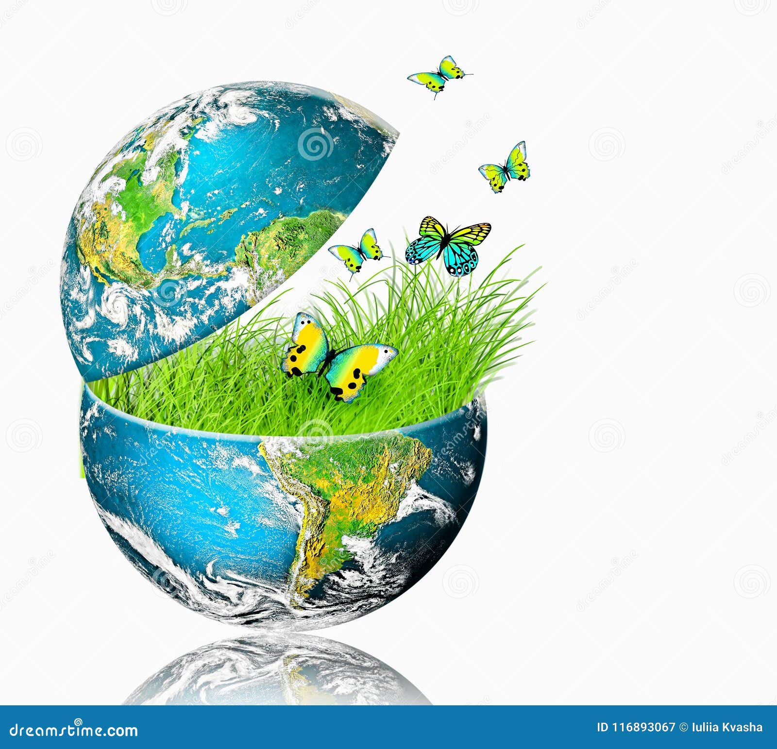 Ecological Concept of the Environment with the Cultivation of Trees ...