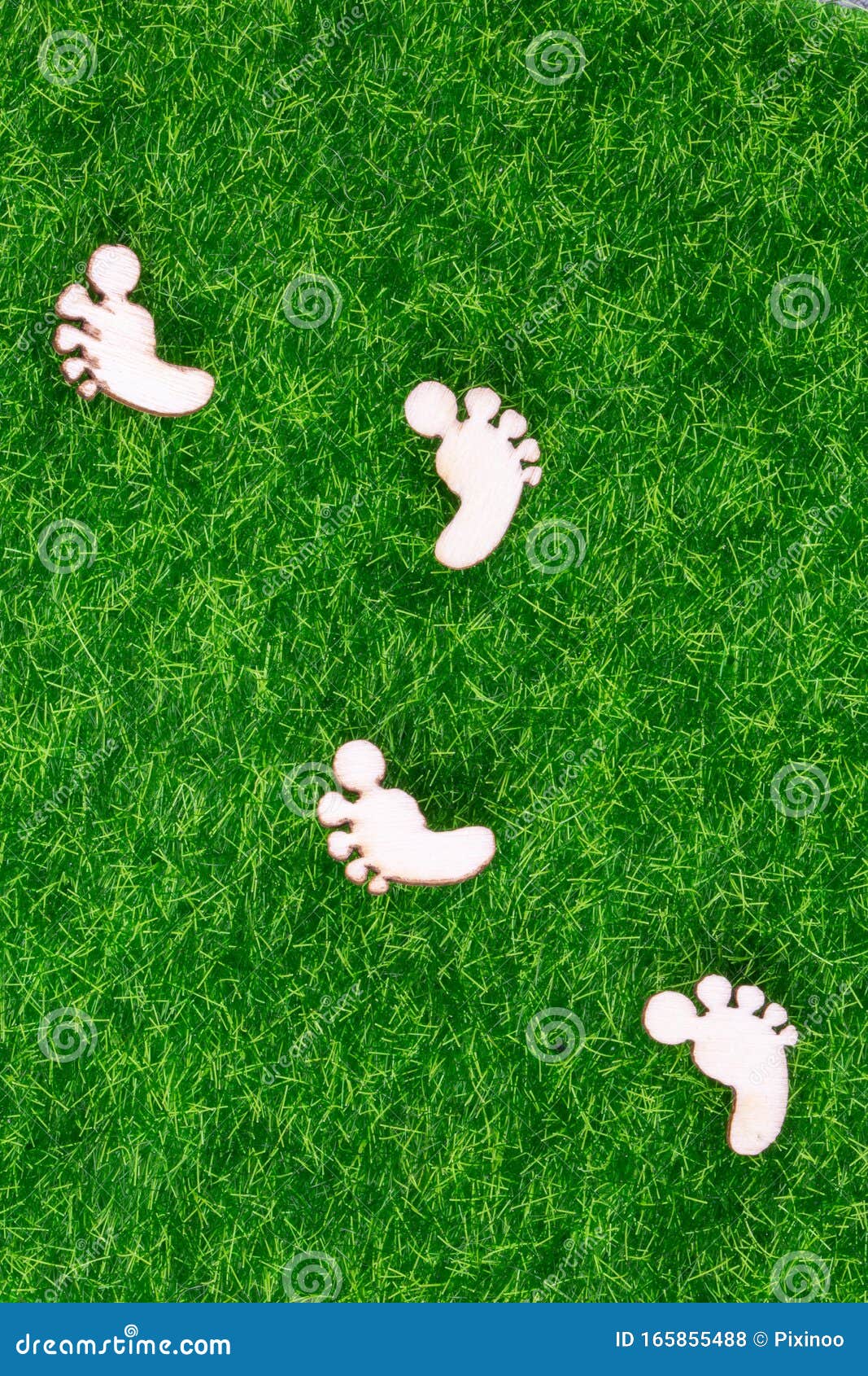 Ecological Concept Representing Wooden Footprints On Grass Stock ...